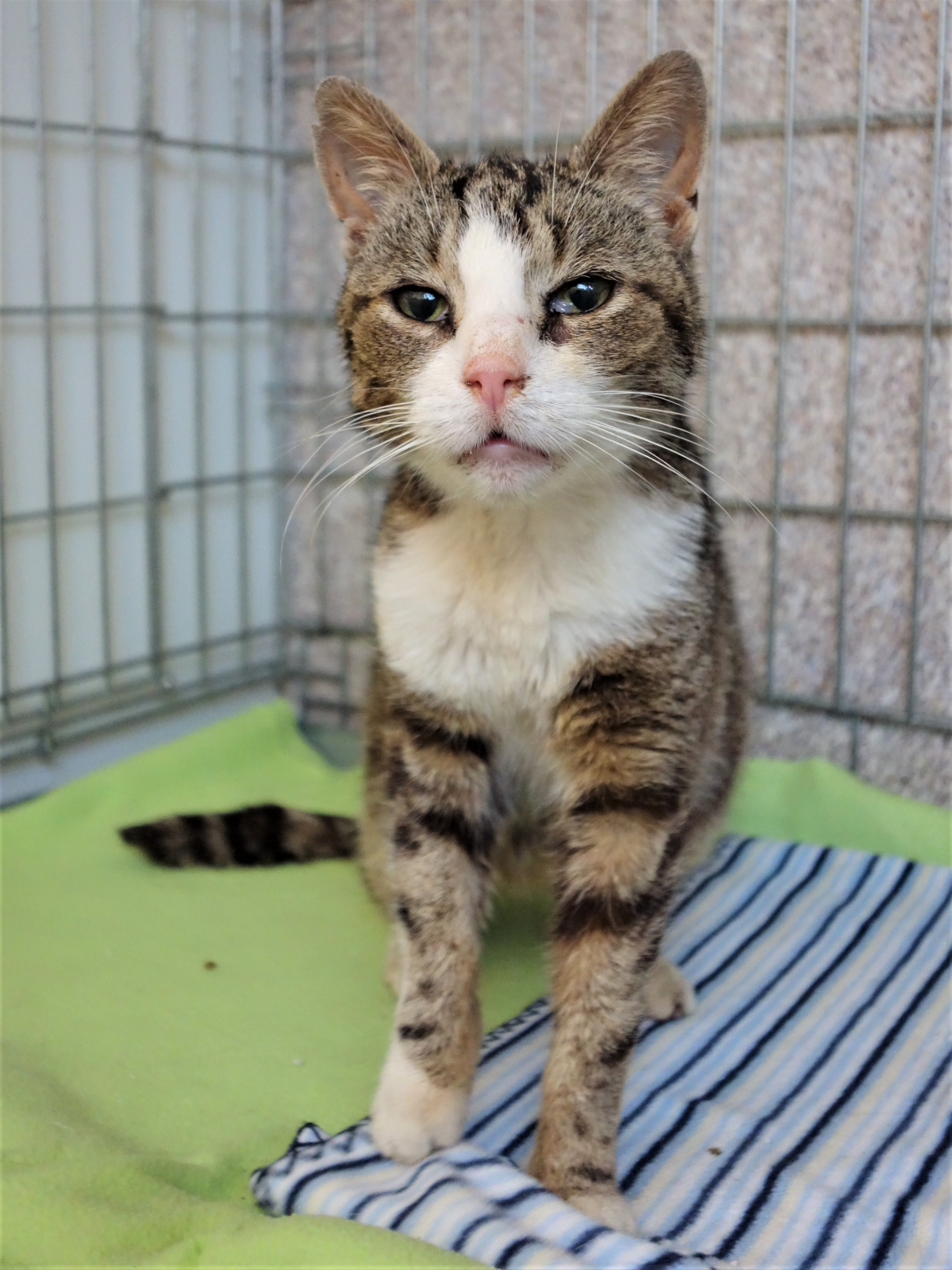 Tierheim Neumarkt i.d.Opf